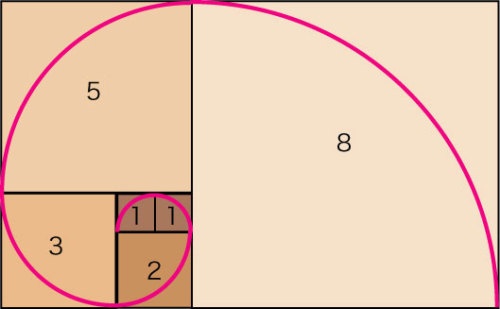なぜ猫を可愛いと思うのか？そこに隠された秘密とは | 山梨集客ドットコム
